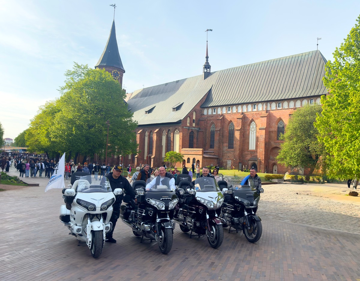 Экскурсии на «Крузенштерн» в Калининграде в 2025 году: цены от 300 ...